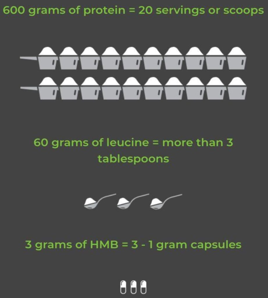 What is MyHMB™? Mechanism, Benefits, and Applications
